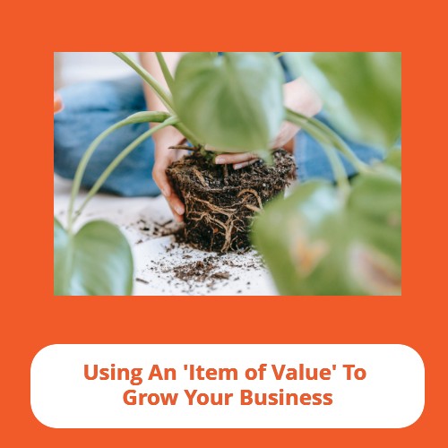 Item Of Value - How To Use One To Grow Your Business